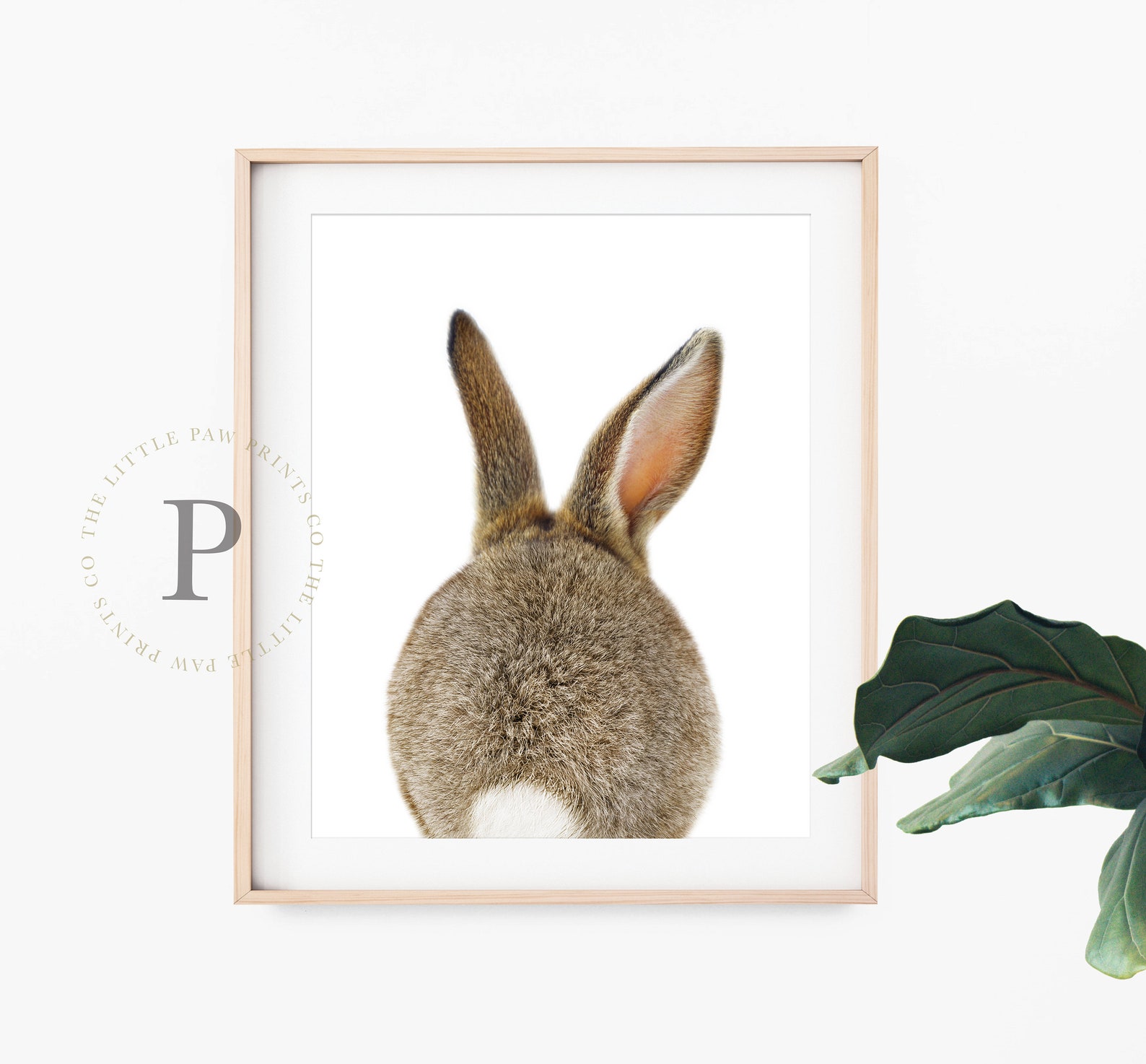 Bunny Rabbit Tail Print Nursery Animal Wall Art Printable - Etsy