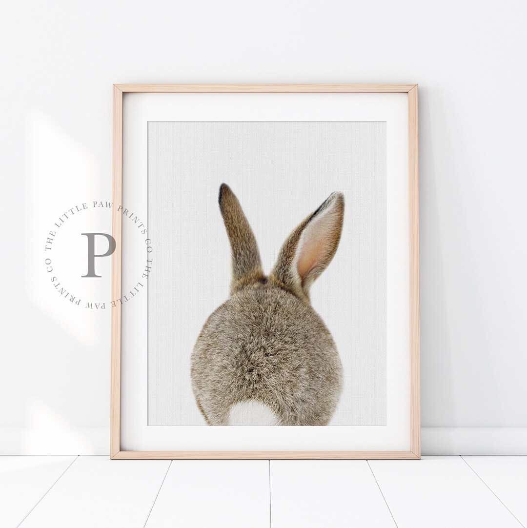 Bunny Rabbit Tail Print Nursery Animal Wall Art Printable - Etsy