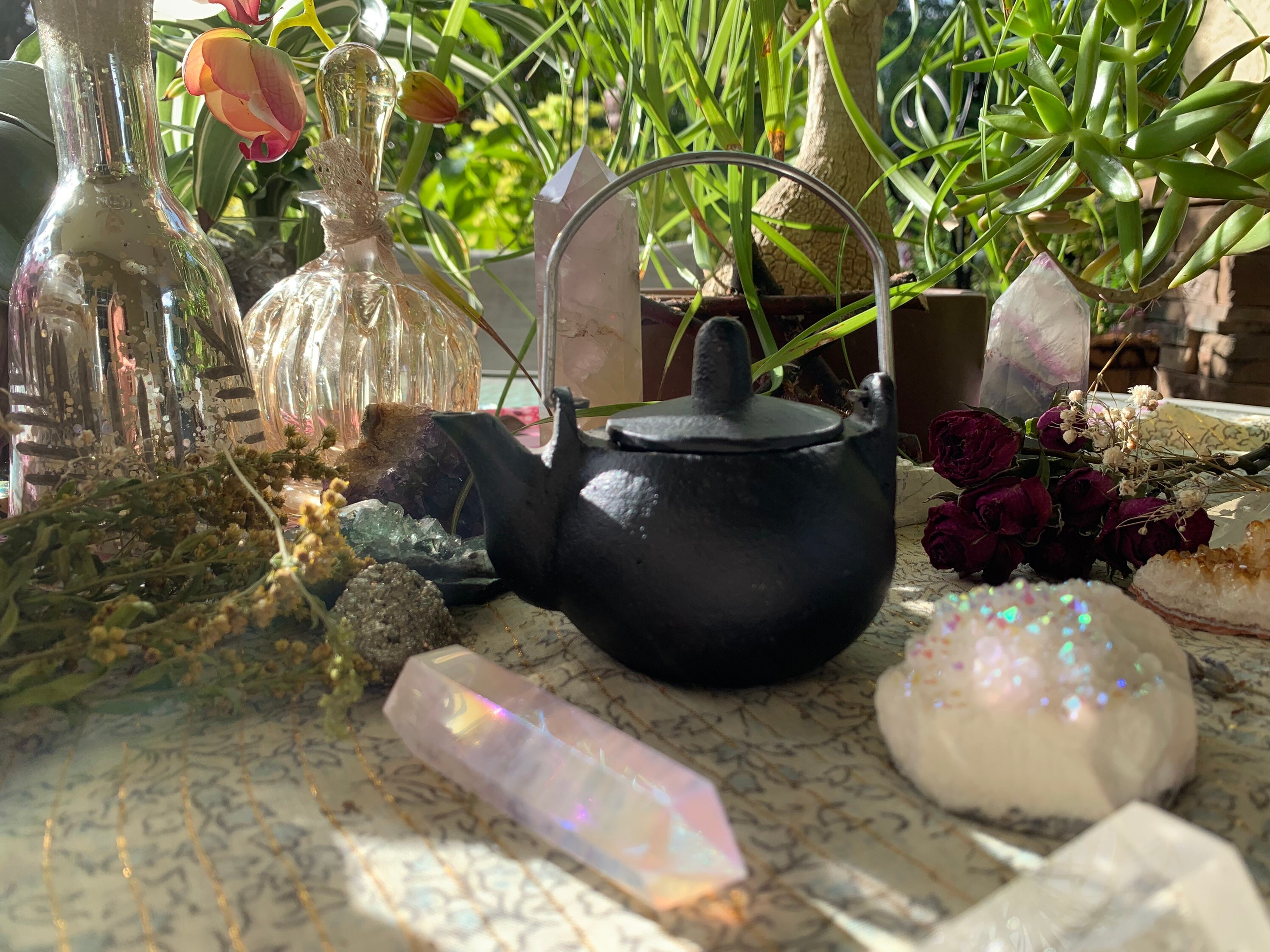 Mini Cast Iron Kettle 4 Hibiscus Tea Kit - Etsy