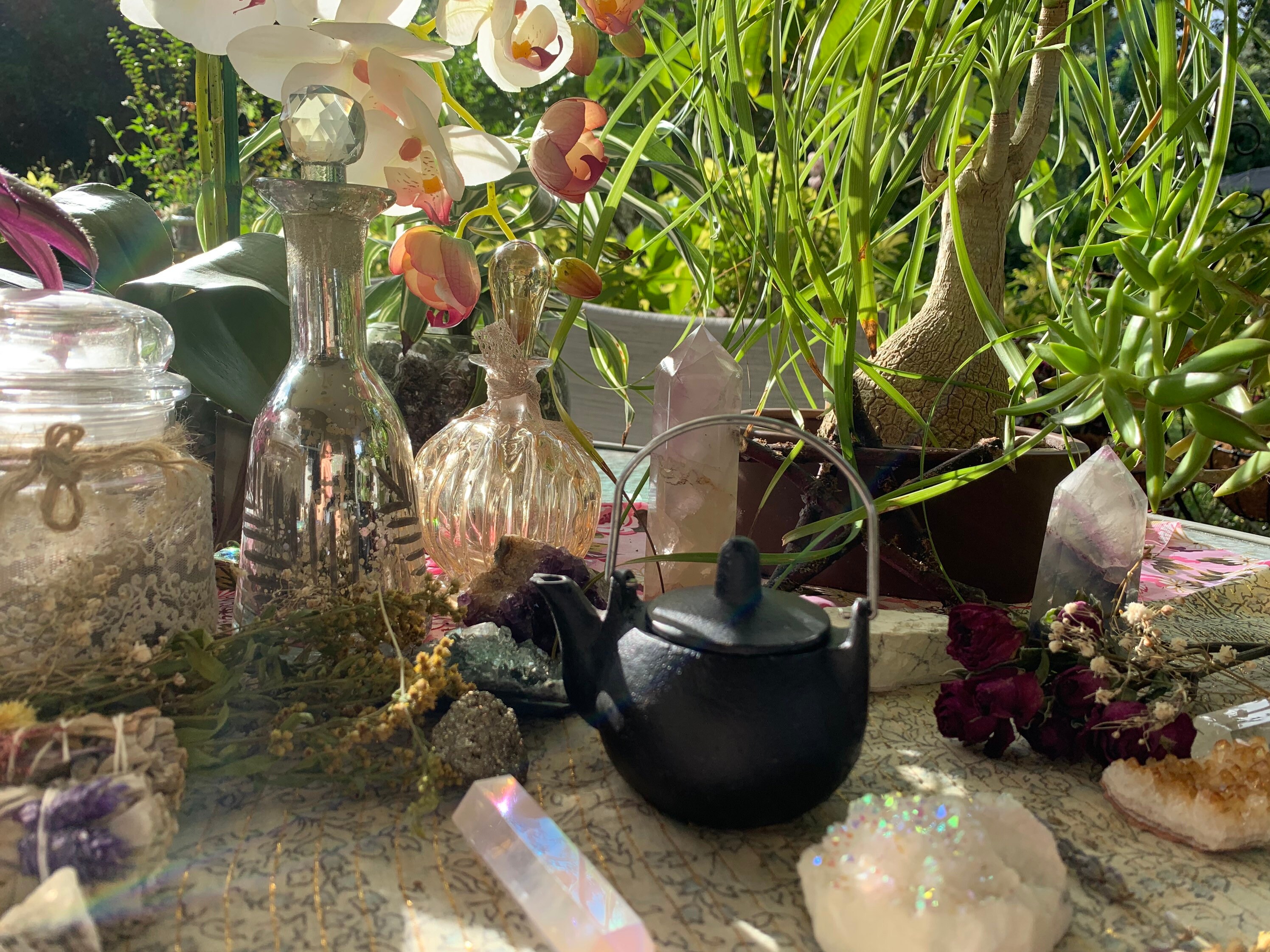 Mini Cast Iron Kettle 4 Hibiscus Tea Kit - Etsy