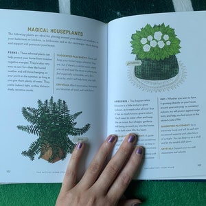 The Witchy Homestead - Etsy