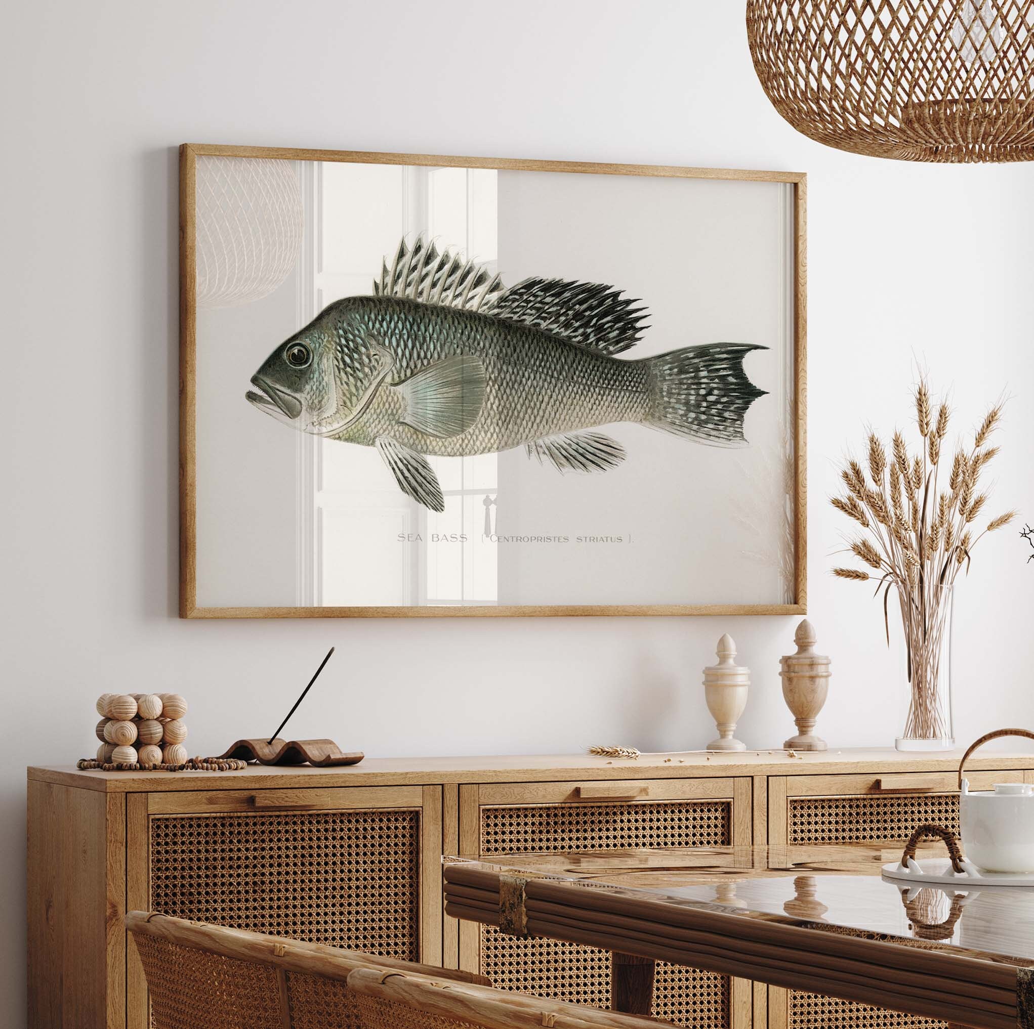 Sea Bass Fish Print Vintage Fishing Poster Wall Art Decor - Etsy