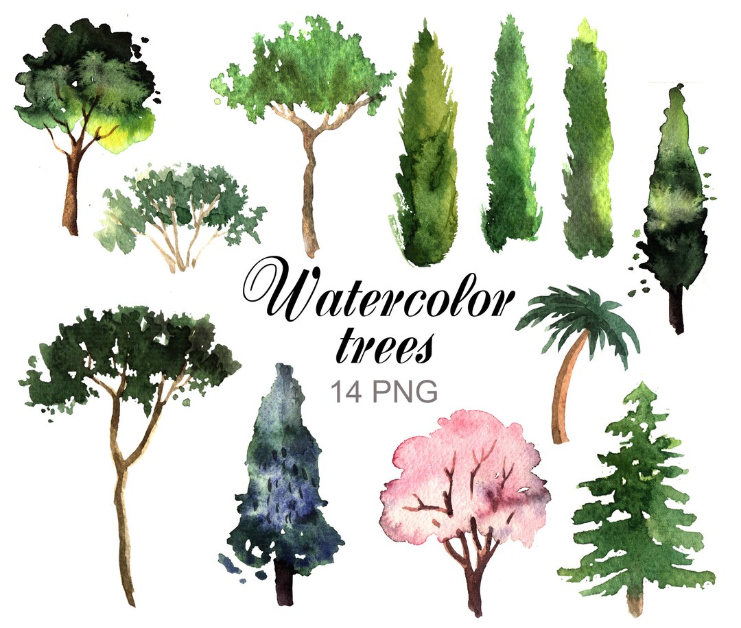 Watercolor Tree Clipart Set: Woodland Scrapbook PNG (instant Download ...