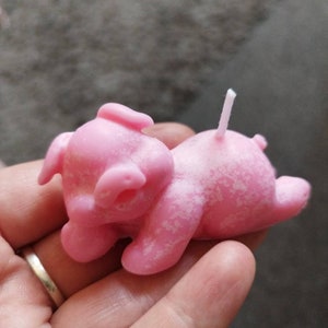 Pig Soy Scented Candle , Soy Wax, Choice of Colour and Scent, Birthday ...