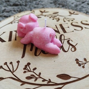 Pig Soy Scented Candle , Soy Wax, Choice of Colour and Scent, Birthday ...
