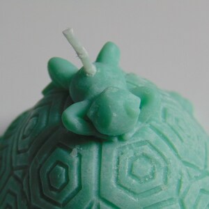 Turtle/tortoise Soy Scented Candle , Soy Wax, Choice of Colour and ...