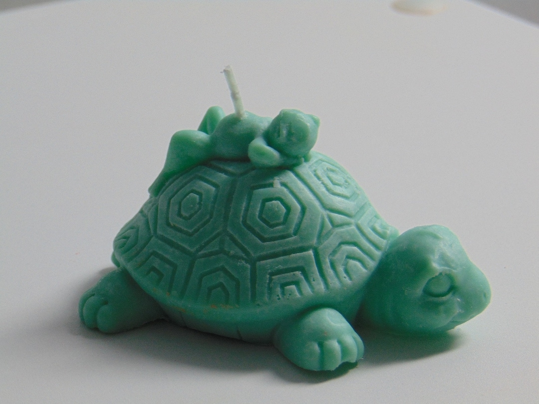 Turtle/tortoise Soy Scented Candle , Soy Wax, Choice of Colour and ...