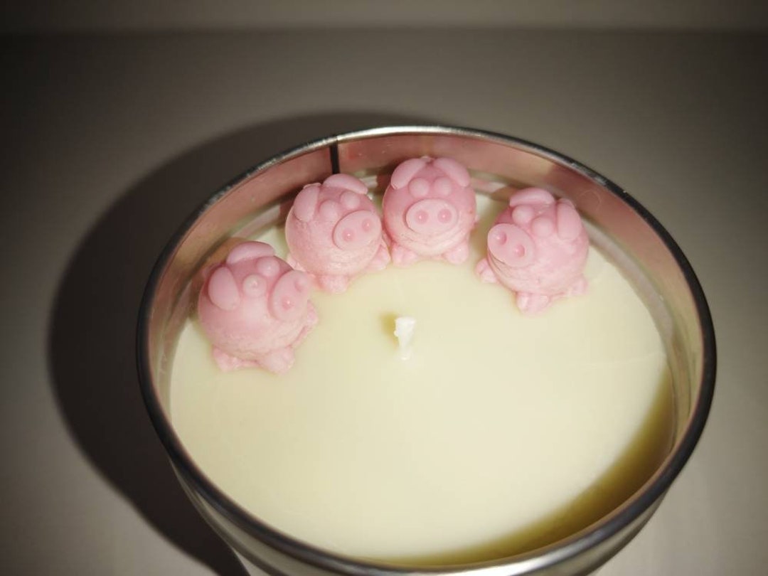 Pig Soy Wax Tin Candle, Perfect Gift for Friends, Birthday Gift ...