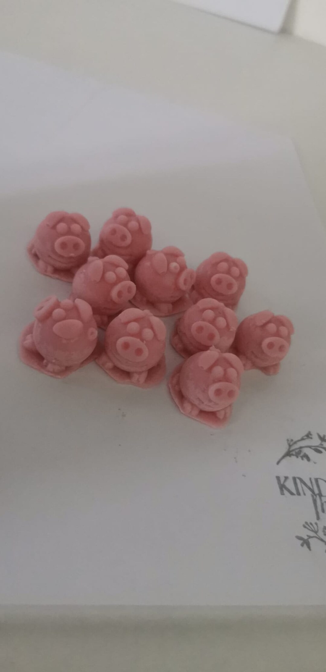 Scented Pig Wax Melts, Soy Wax, Choice of Colour and Scent, Perfect for ...