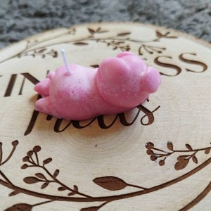 Pig Soy Scented Candle , Soy Wax, Choice of Colour and Scent, Birthday ...