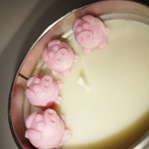 Pig Soy Wax Tin Candle, Perfect Gift for Friends, Birthday Gift ...
