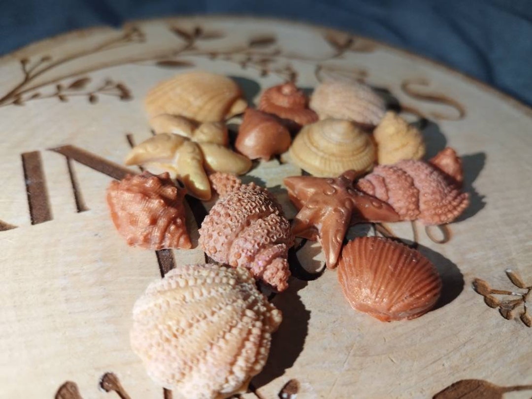 Scented Shell Wax Melts, Soy Wax, Choice of Colour and Scent, Perfect ...