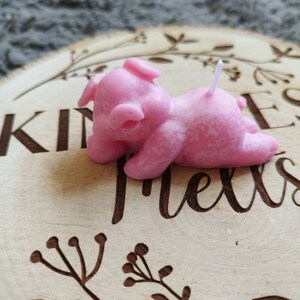Pig Soy Scented Candle , Soy Wax, Choice of Colour and Scent, Birthday ...