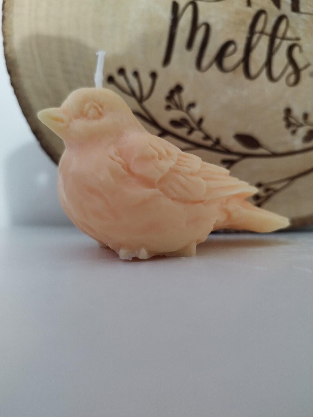 Bird Soy Scented Candle Soy Wax Choice of Colour and Scent Birthday ...