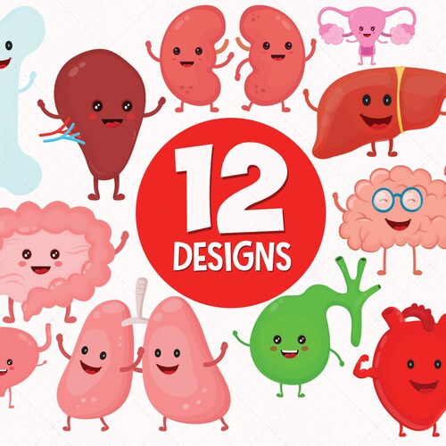 Body Organs Clipart Digital Clip Art Human Body PNG SVG - Etsy