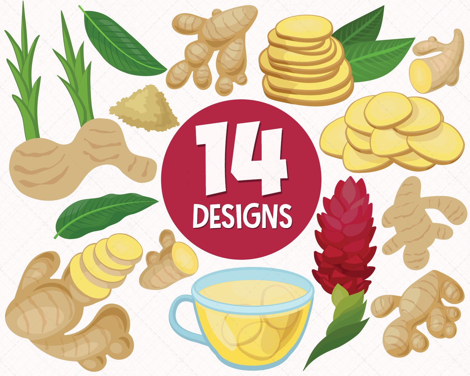 14 Ingwer SVG Ingwer PNG Ingwer Vektor Clipart Ingwer Bild | Etsy
