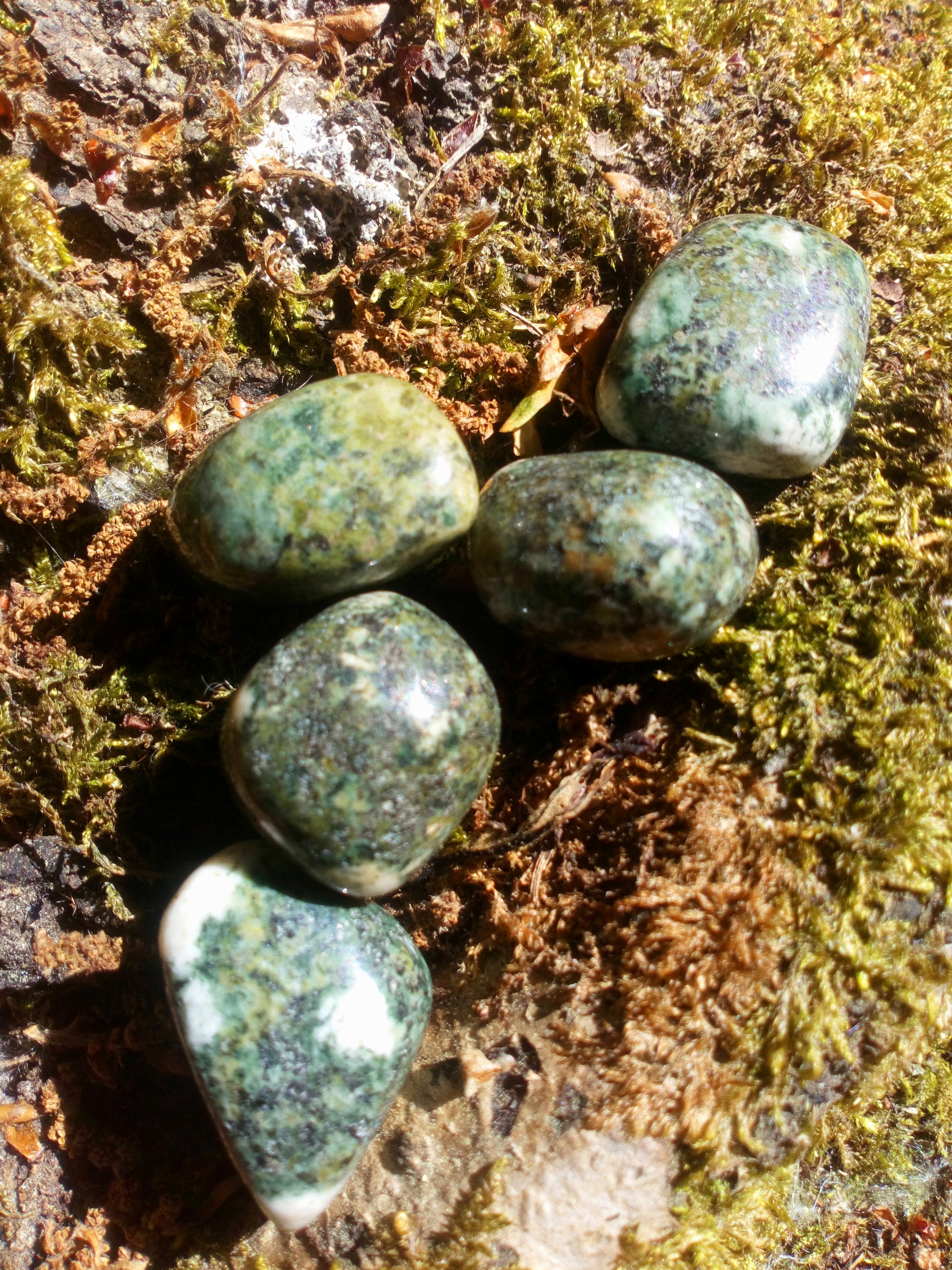 Preseli Blue Stone stonehenge Stone Tumble Stone, Third Eye & Root ...