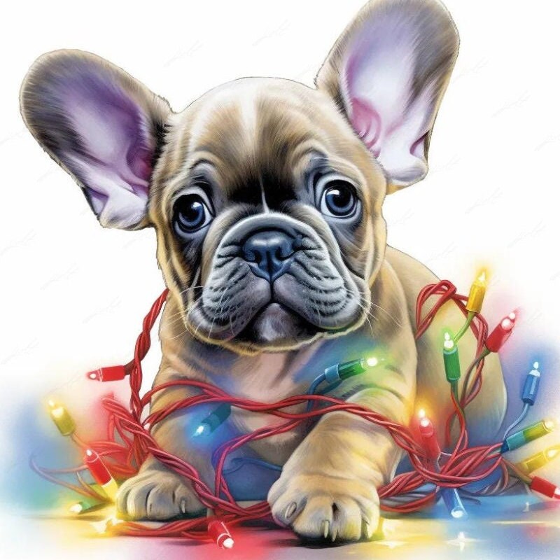 French Bulldog Holiday, Christmas Digital Clipart Bundle, Instant ...