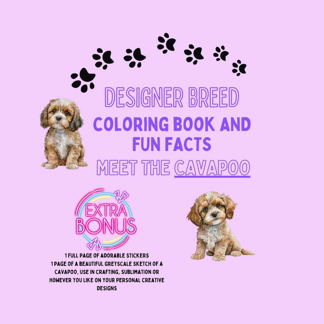 Cavapoo Coloring Book: 4 Fun-filled Pages Bonus Stickers and - Etsy