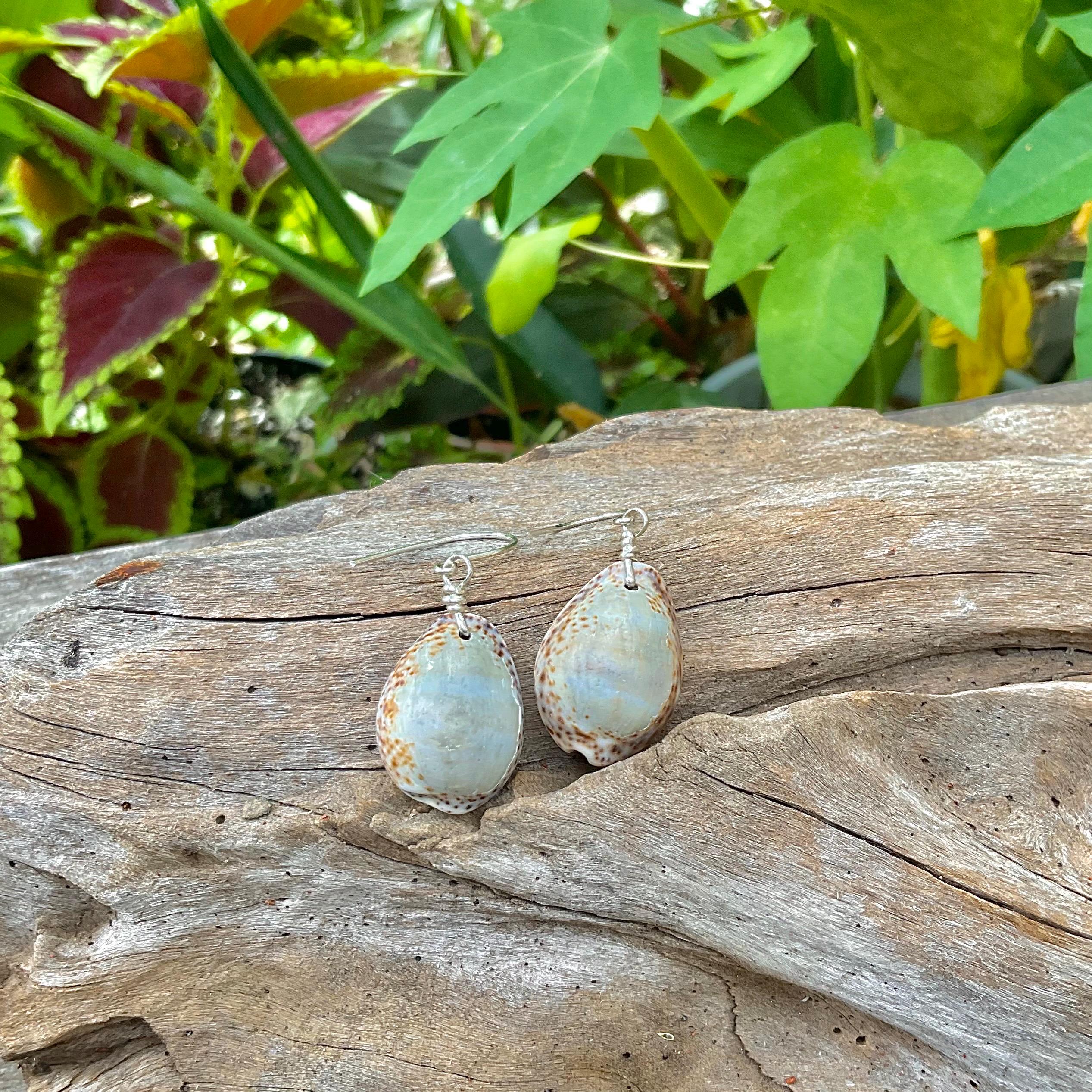 Sterling Silver Spotted Cowrie Puka Shell Earrings - Etsy