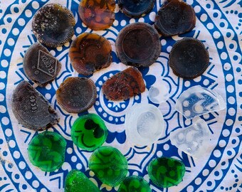 Genuine Bulk Lot Real Sea Shells From Vieques Island, Puerto Rico ...