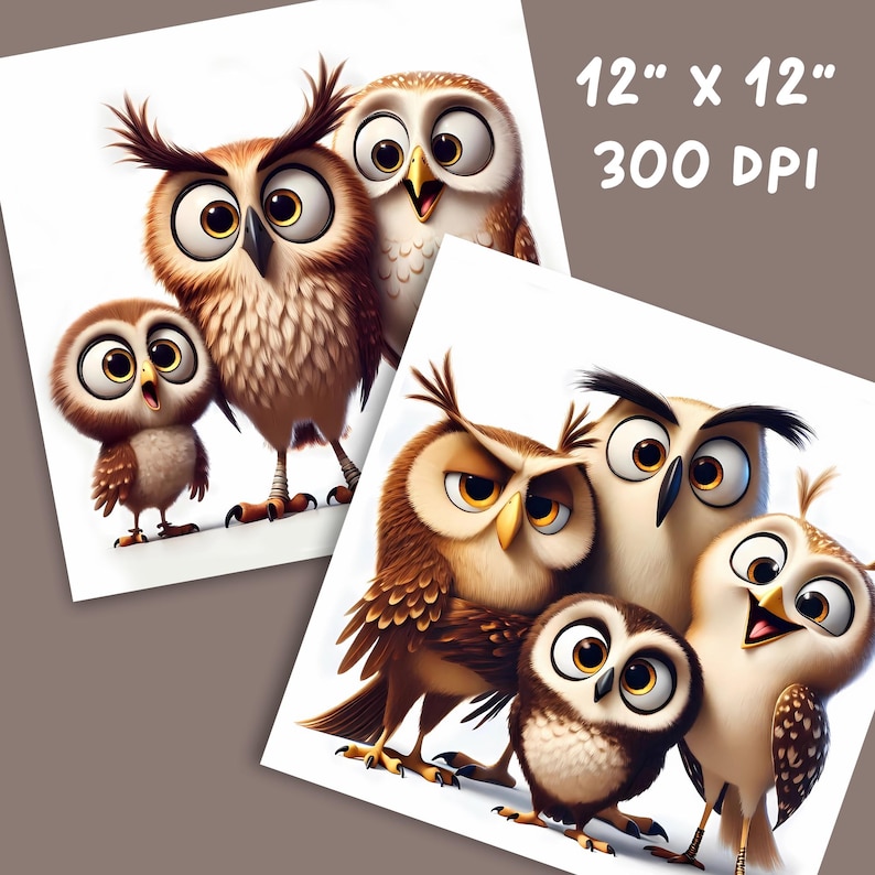 Owl Clipart Bundle - 12 Whimsical and Quirky Owls, Woodland Animal ...
