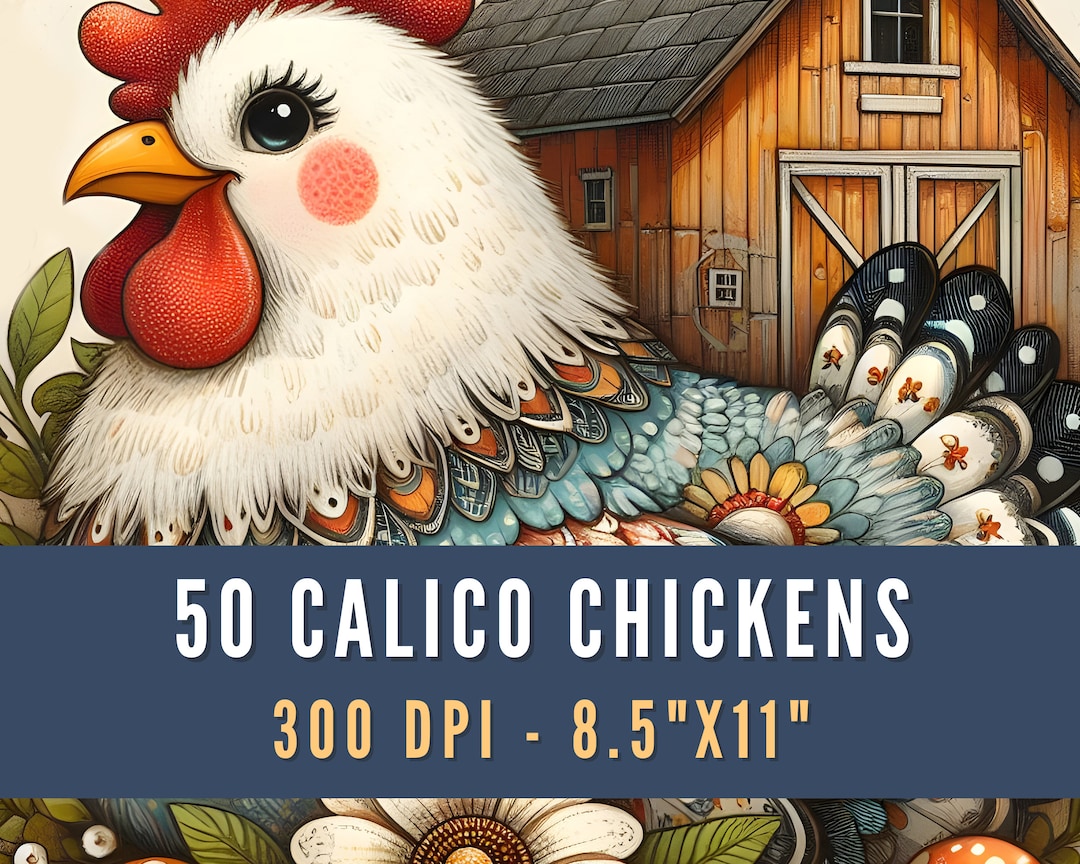 50 Whimsical Calico Chicken Images, Digital Art, Printable Kit, Instant ...
