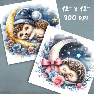 10 Baby Hedgehog Clipart, Commercial Use, Hedgehog Clipart, 300 DPI ...