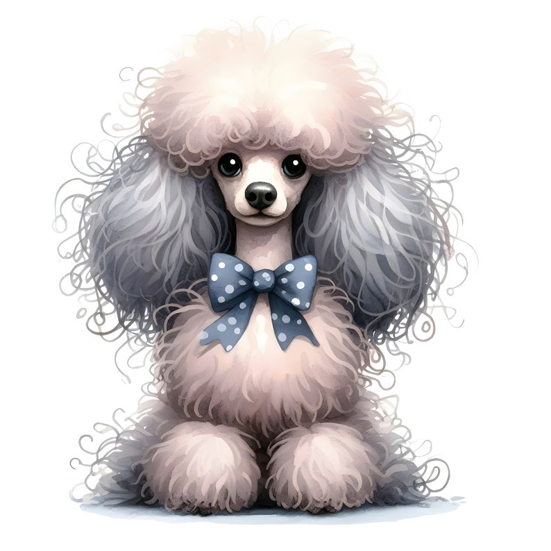 15 Cute & Quirky Poodle Clipart, Cute Fluffy Poodles, Digital Clipart ...