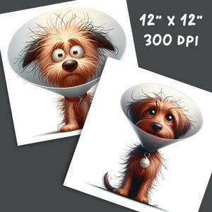 Dog in Cone Clipart, Cute Pet Illustrations, Commercial Use, Digital ...