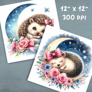 10 Baby Hedgehog Clipart, Commercial Use, Hedgehog Clipart, 300 DPI ...