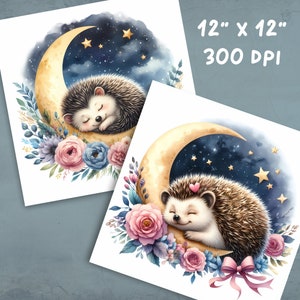 10 Baby Hedgehog Clipart, Commercial Use, Hedgehog Clipart, 300 DPI ...