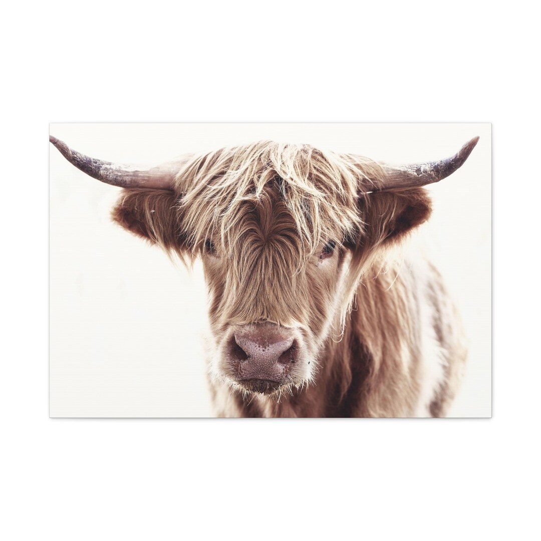 Highland Cow, Highland Cow Print, Living Room Art, Farmhouse Wall Decor ...