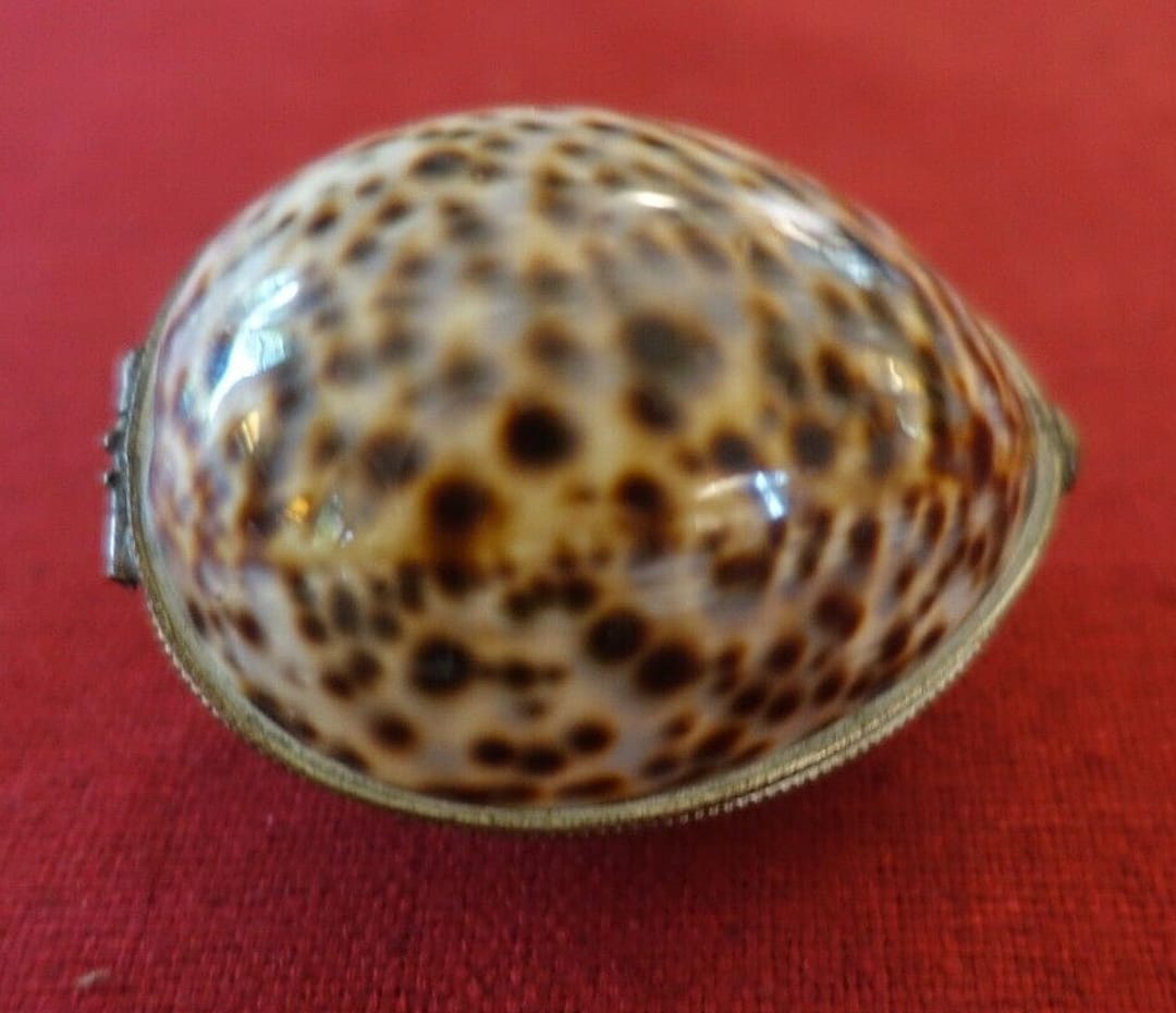 Shell Rosary Box Xix Religion Catholic Crucifix - Etsy