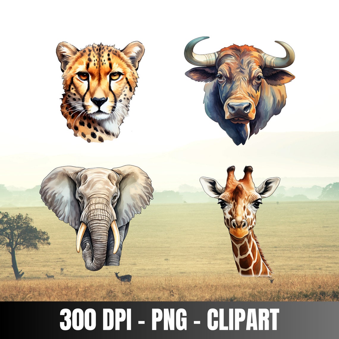 Safari Animals Png, Zoo Png, Lion Head Png, Lion Face Png, Tiger Head ...