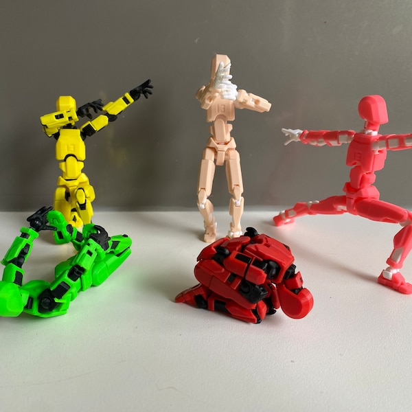 3d Printed Dummy 13 Stl - Etsy