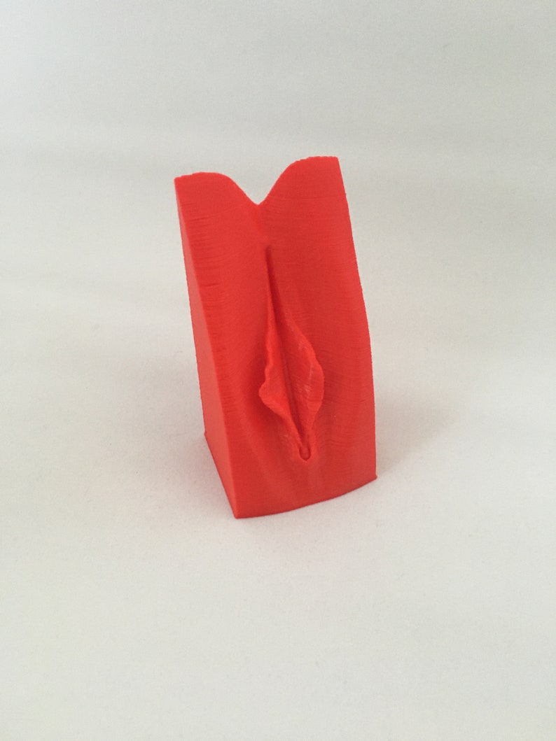 Vagina Anatomical Model For Educational Purposes Etsy 