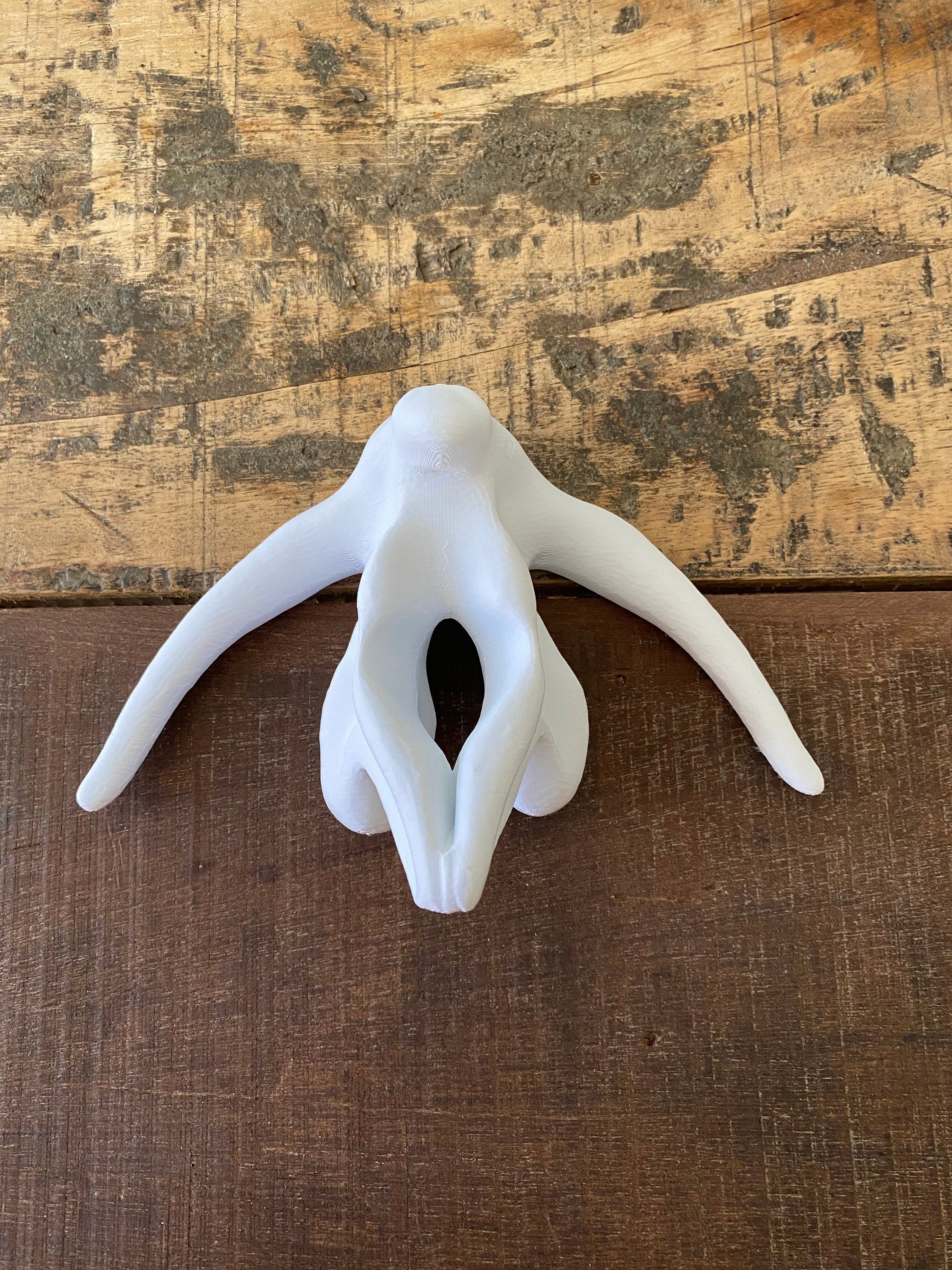 LARGE Clitoris With Labia Minoris - Learning & School - Etsy