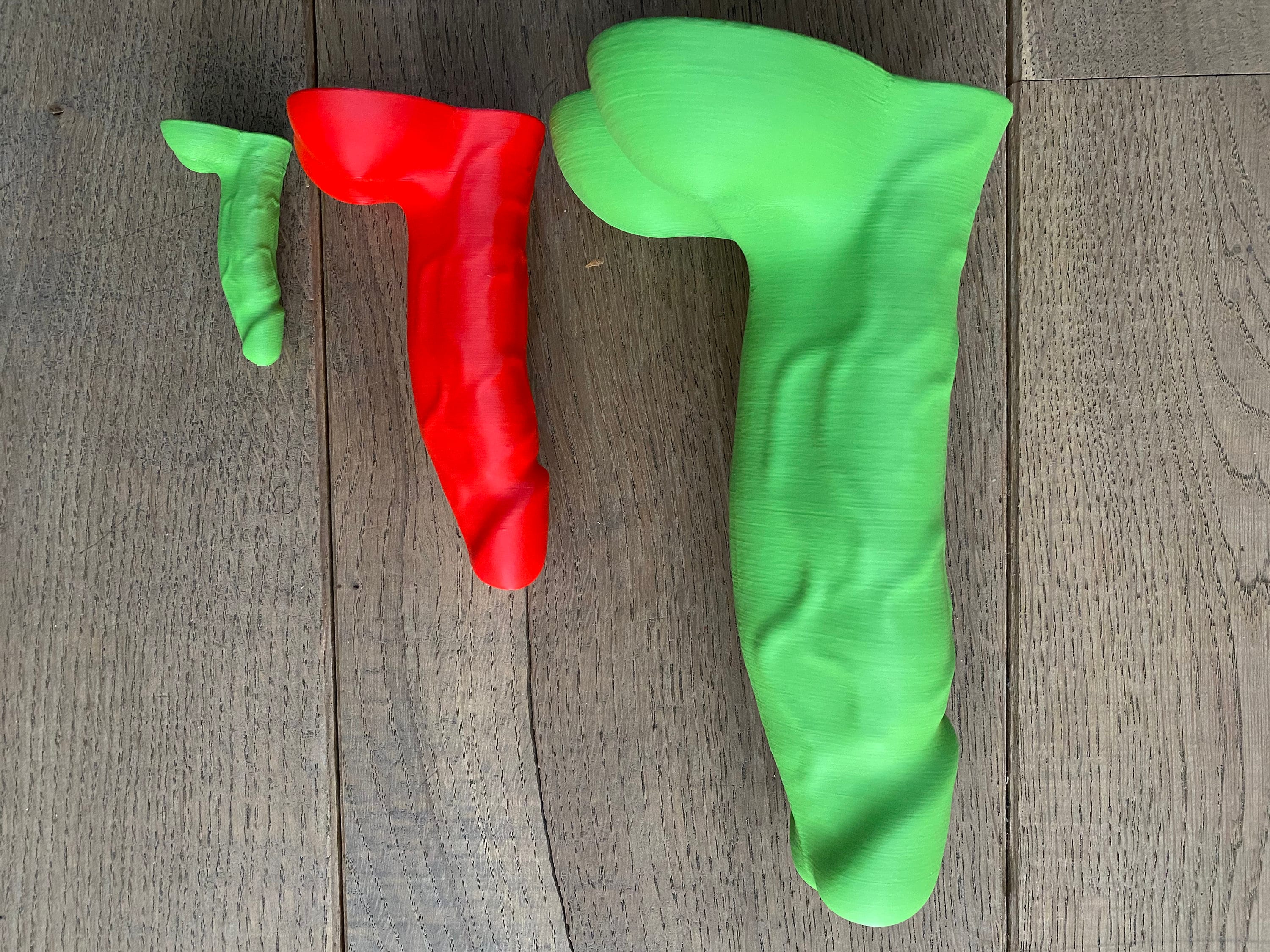 Penis Anatomical Model For Educational Purpose Etsy