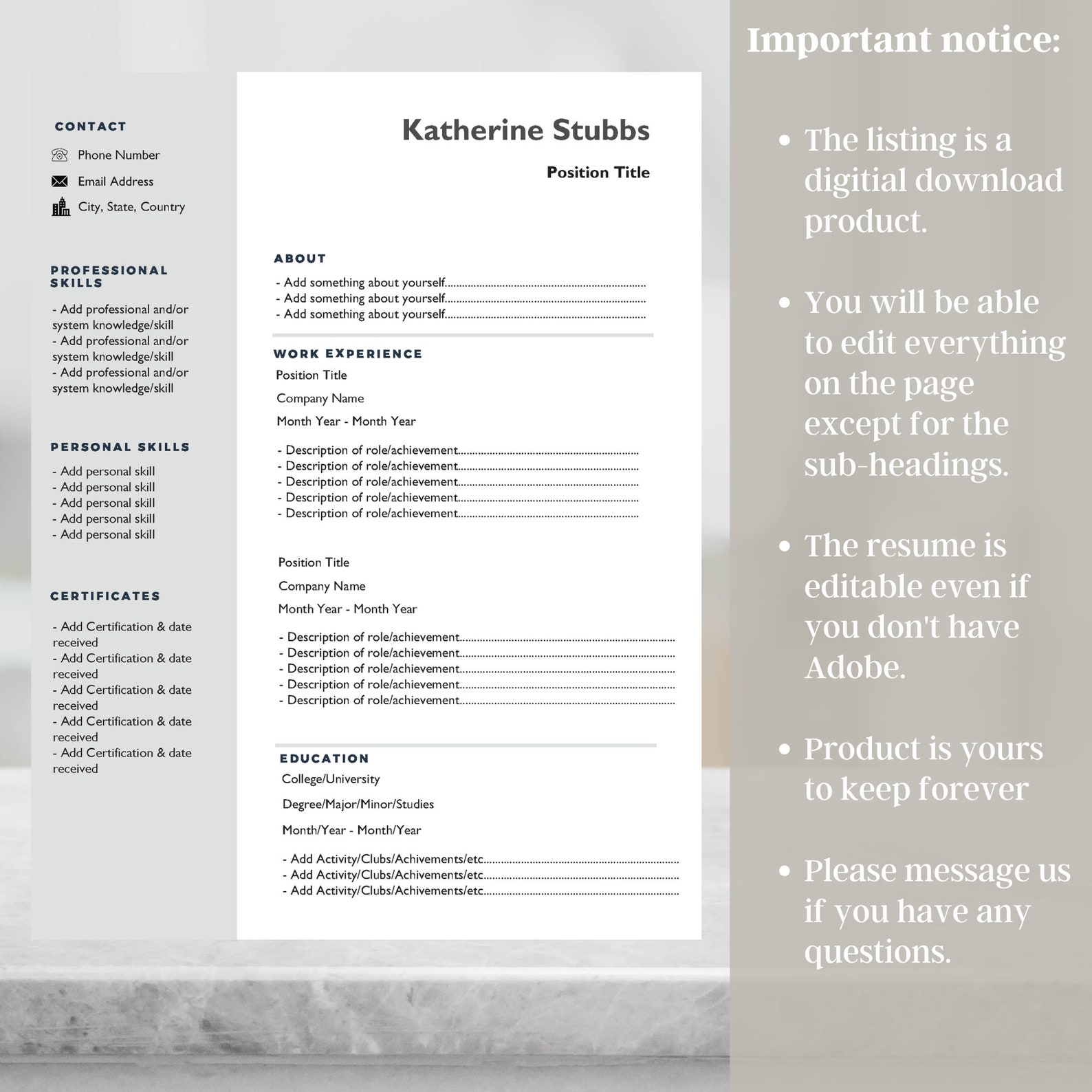 Professional Resume Template Fillable PDF, Instant Download PDF, One ...