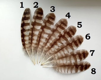 Uil | Etsy Nederland