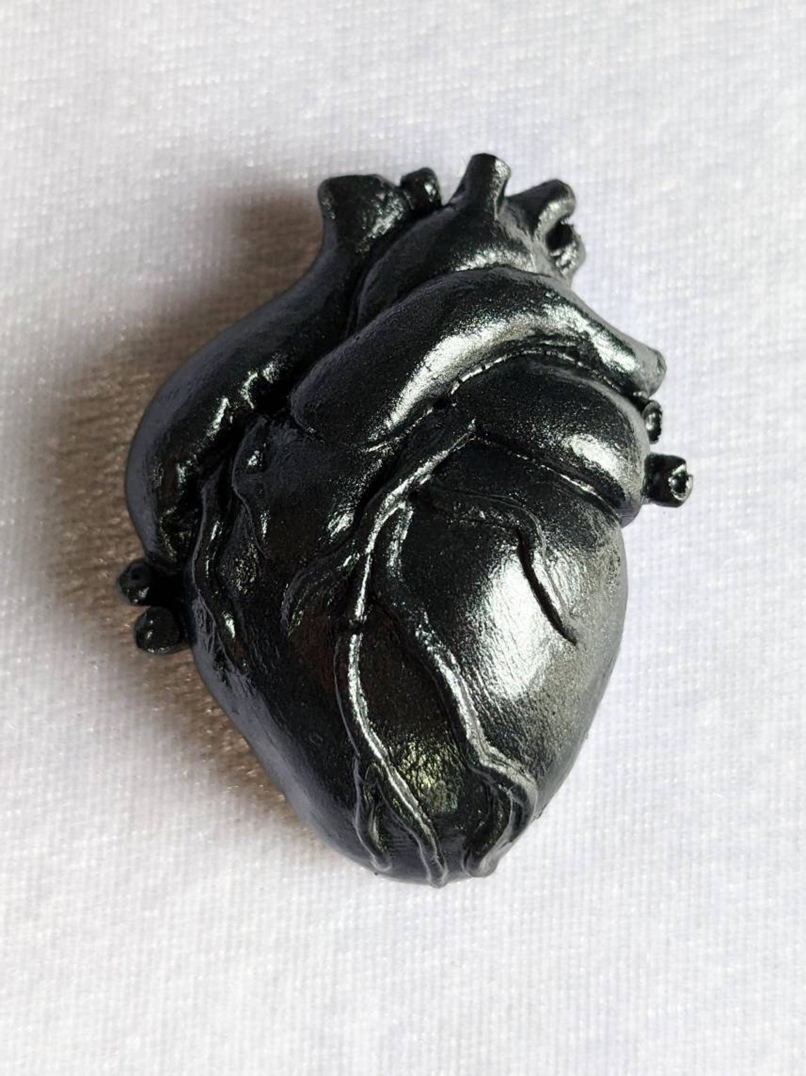 Anatomical Heart Magnet Set, Medical Human Organs Kitchen Magnet, EMS ...