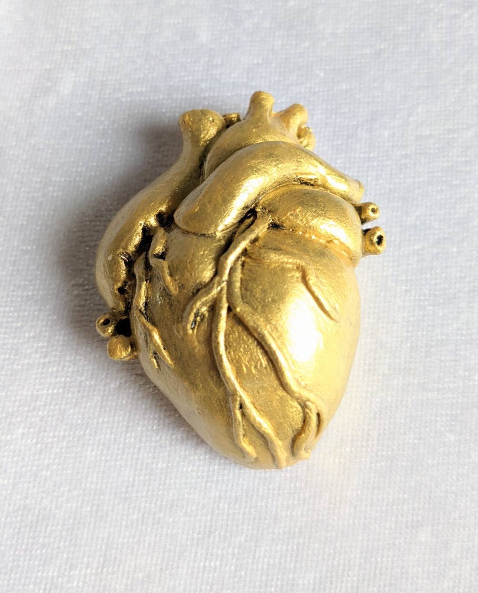 Anatomical Heart Magnet Set, Medical Human Organs Kitchen Magnet, EMS ...