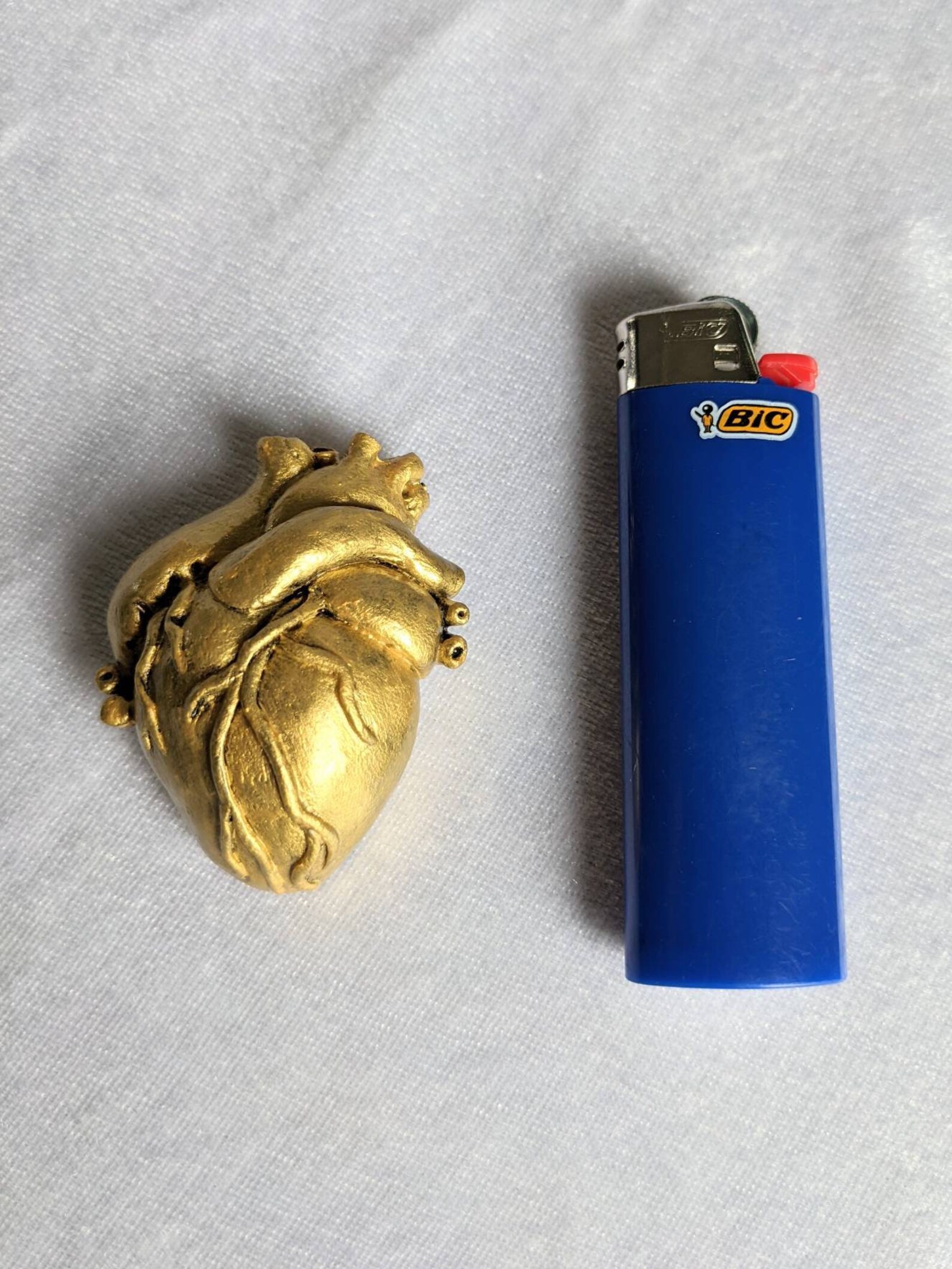 Anatomical Heart Magnet Set, Medical Human Organs Kitchen Magnet, EMS ...