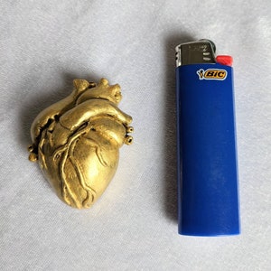 Anatomical Heart Magnet Set, Medical Human Organs Kitchen Magnet, EMS ...