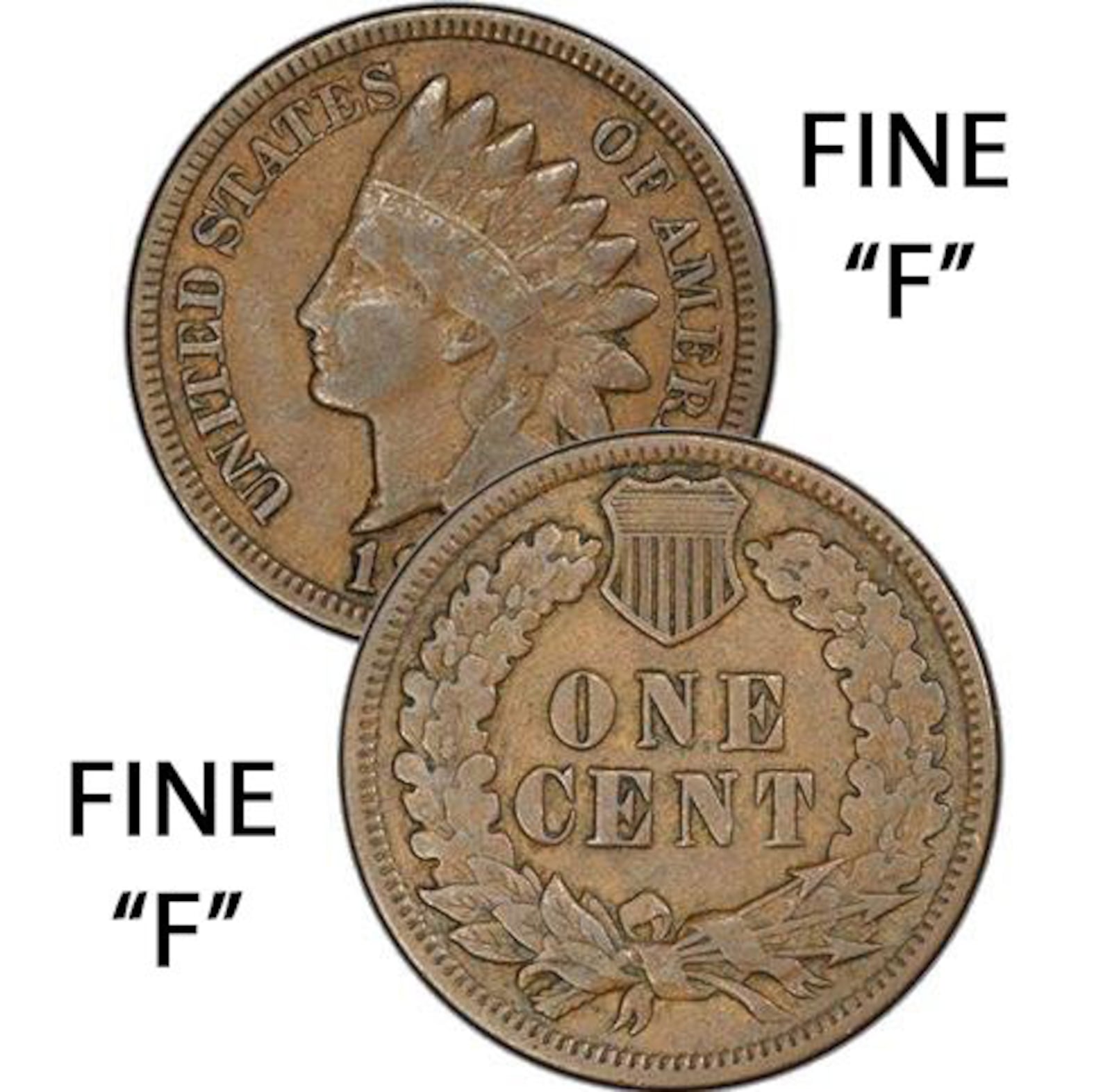 1890-1899 Indian Head Cent Penny Good G to Extremely Fine | Etsy
