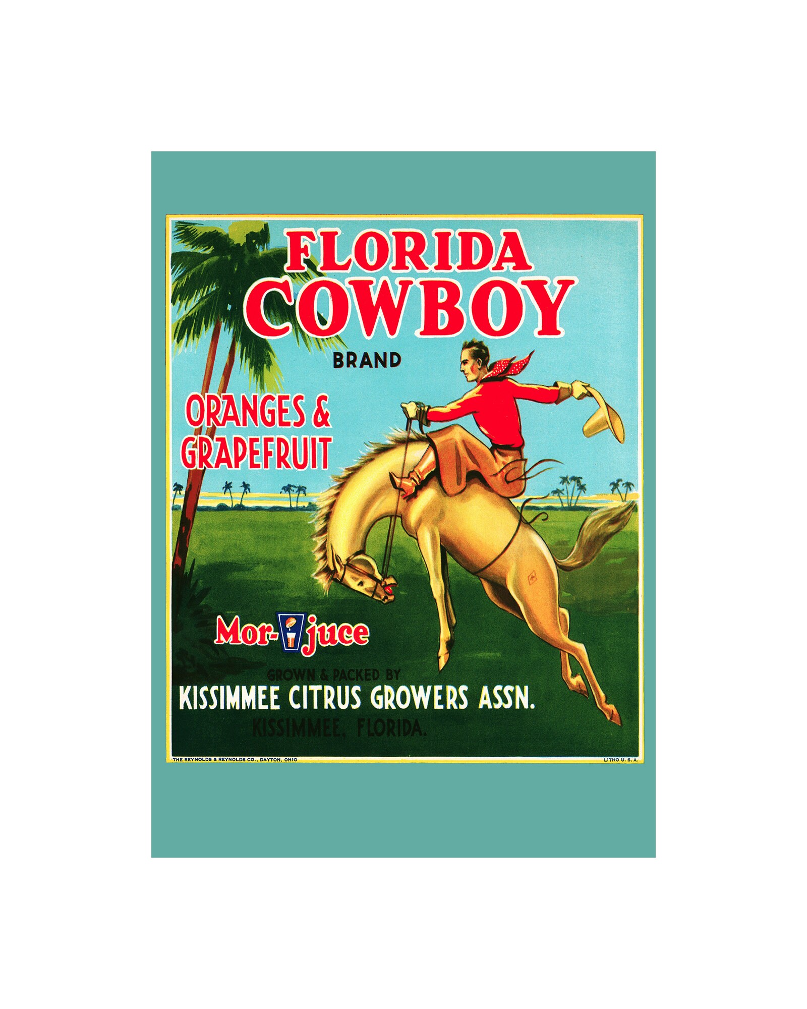 Horse Wild Ride Print