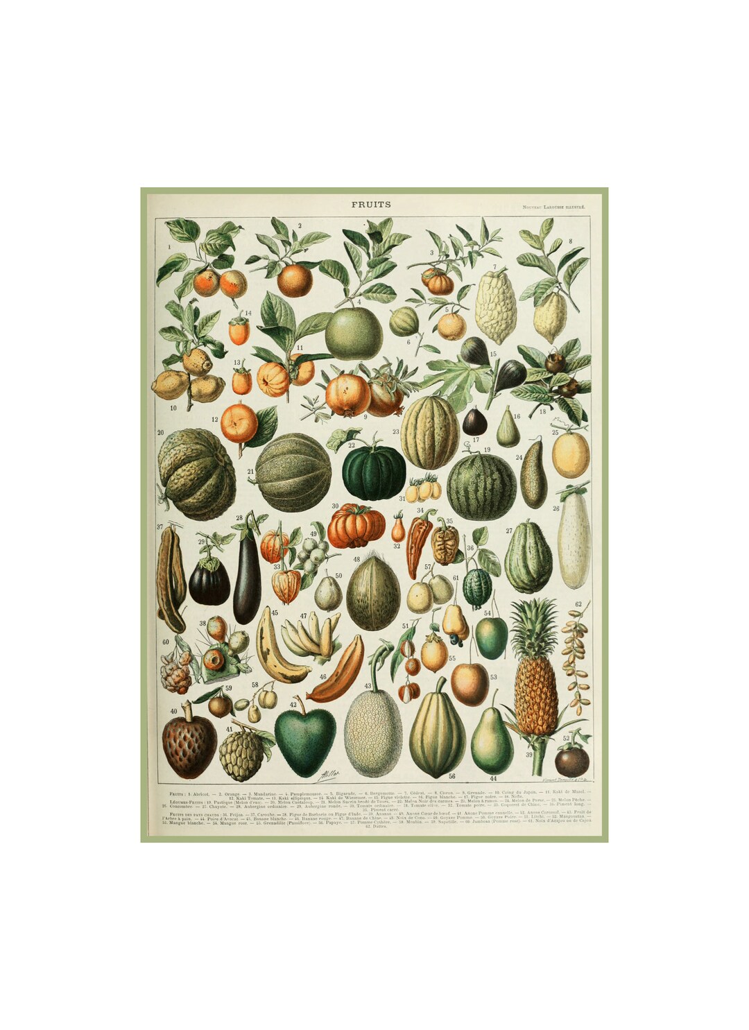 Poster décoratif. Tableau des fruits. Aménagement mural intérieur d'une ...