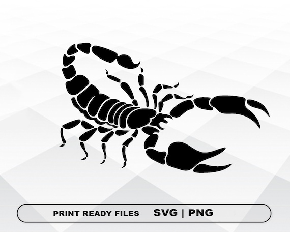 Animal Scorpion SVG and PNG Files Clipart Scorpion Print SVG - Etsy