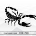 Animal Scorpion SVG and PNG Files Clipart, Scorpion Print SVG, Digital ...